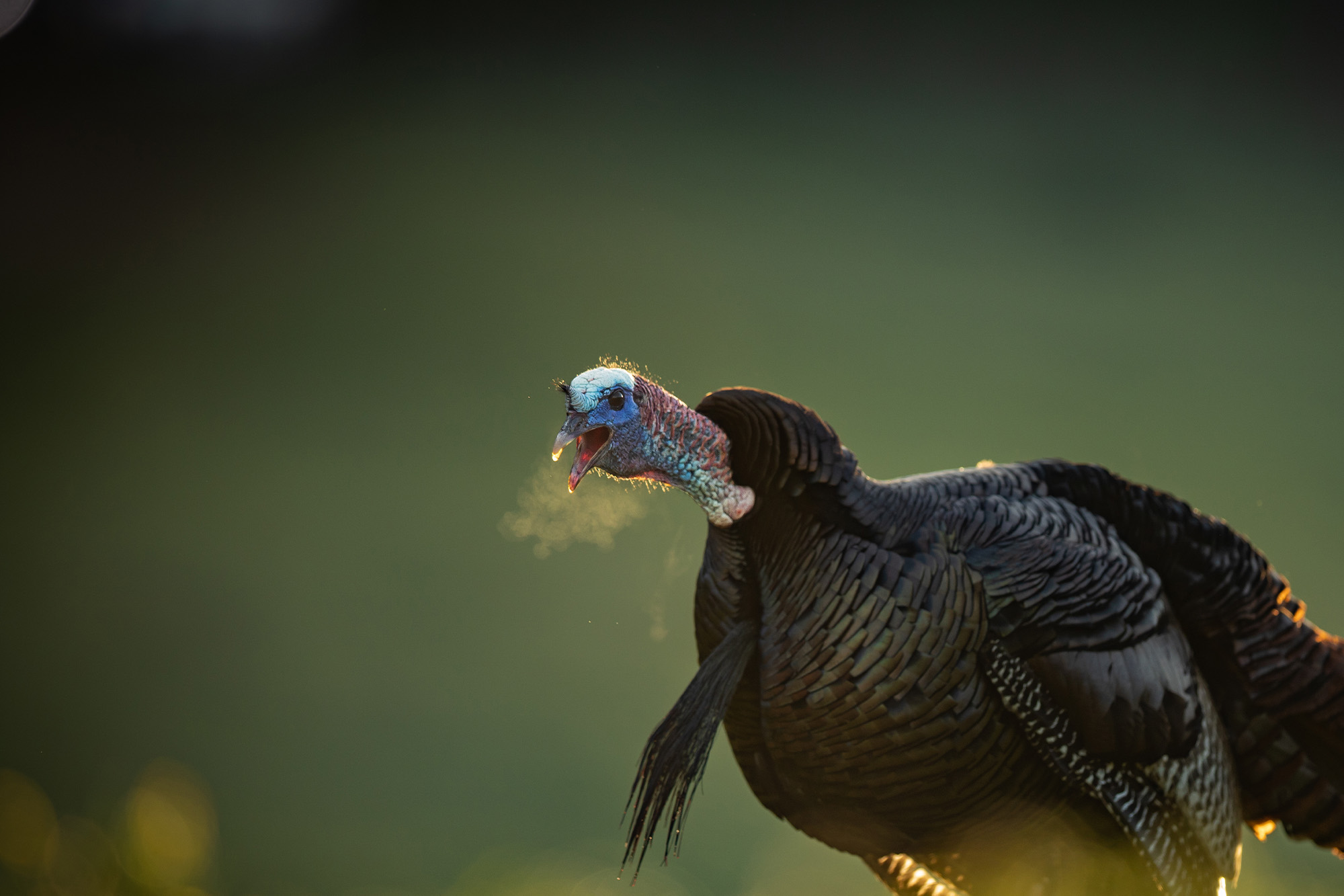 onX Maps: GPS Map App for Hunting, Hiking, Off-Roading & Fishing