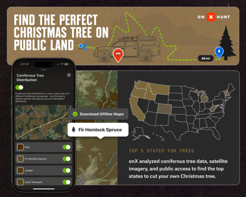 Top 5 States to Cut Down a Christmas Tree on Public Land | onX Maps