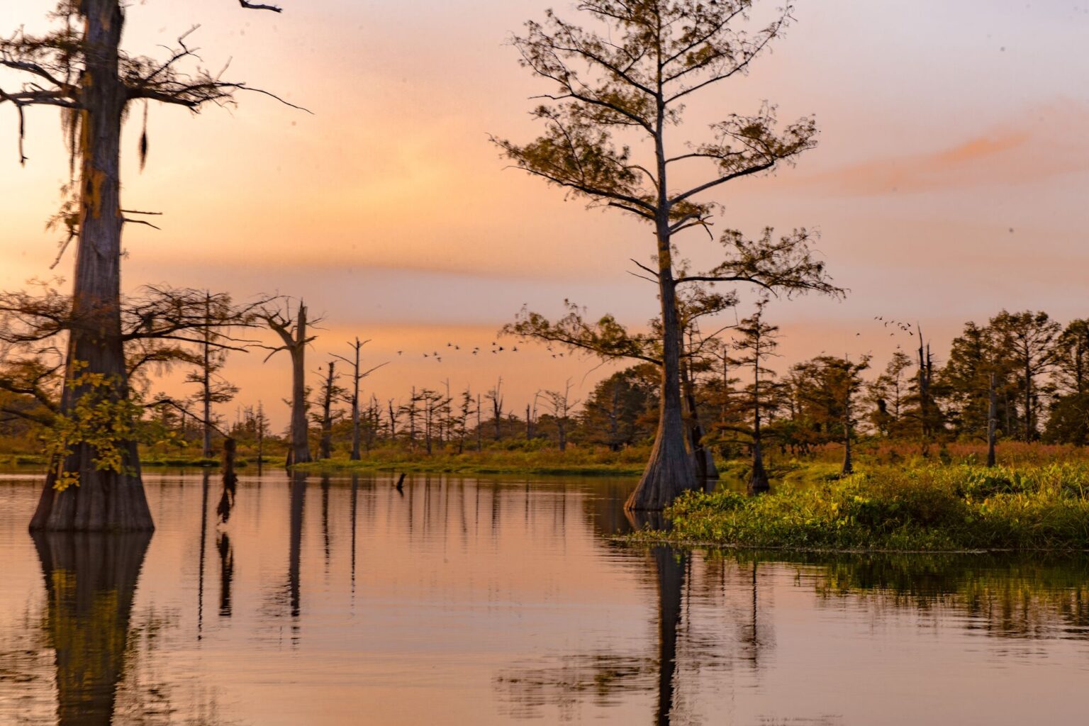 Types of Public Land: Understanding Federal Land Designations | onX Maps