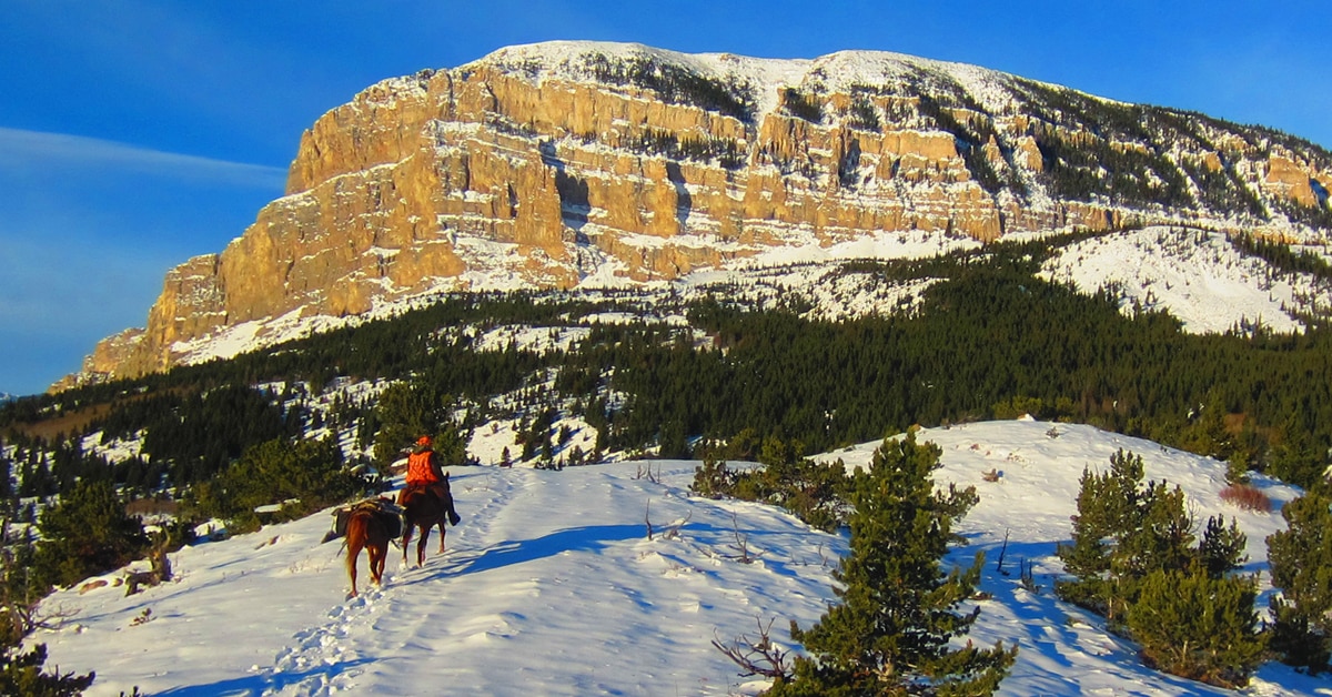 Access, Ethics, and Horses: A Conversation with George Bettas | onX