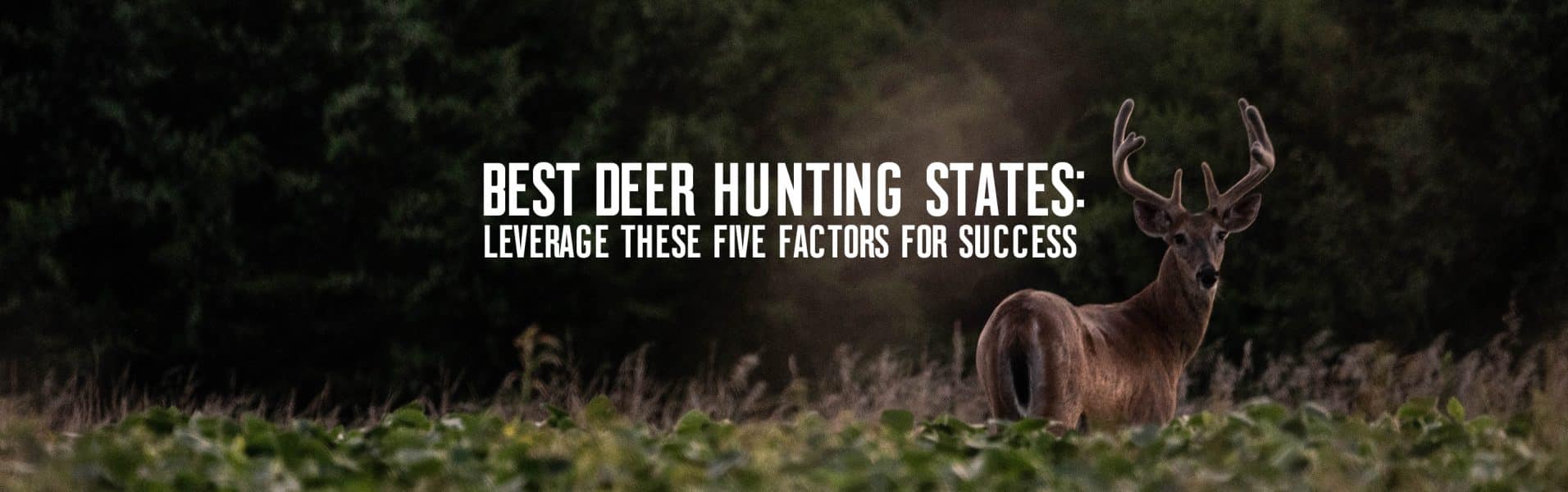 Best Deer Hunting App for Your Next Whitetail Season | onX Hunt