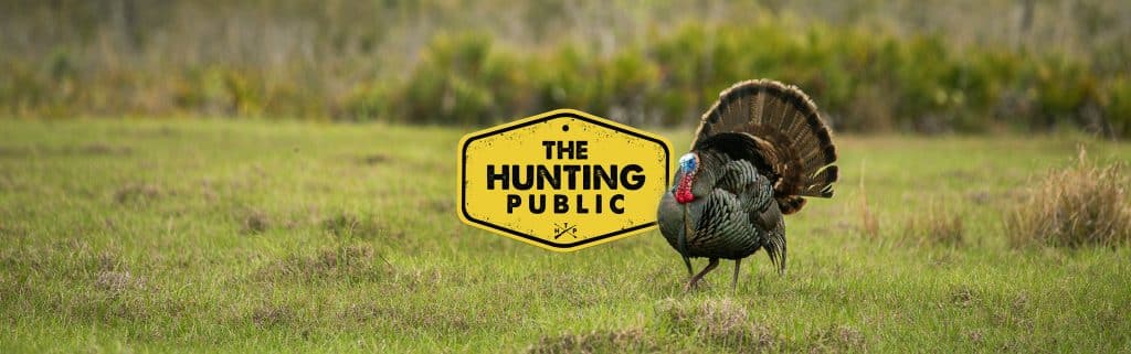 Best Turkey Hunting App for Android, iOS, and Web | onX