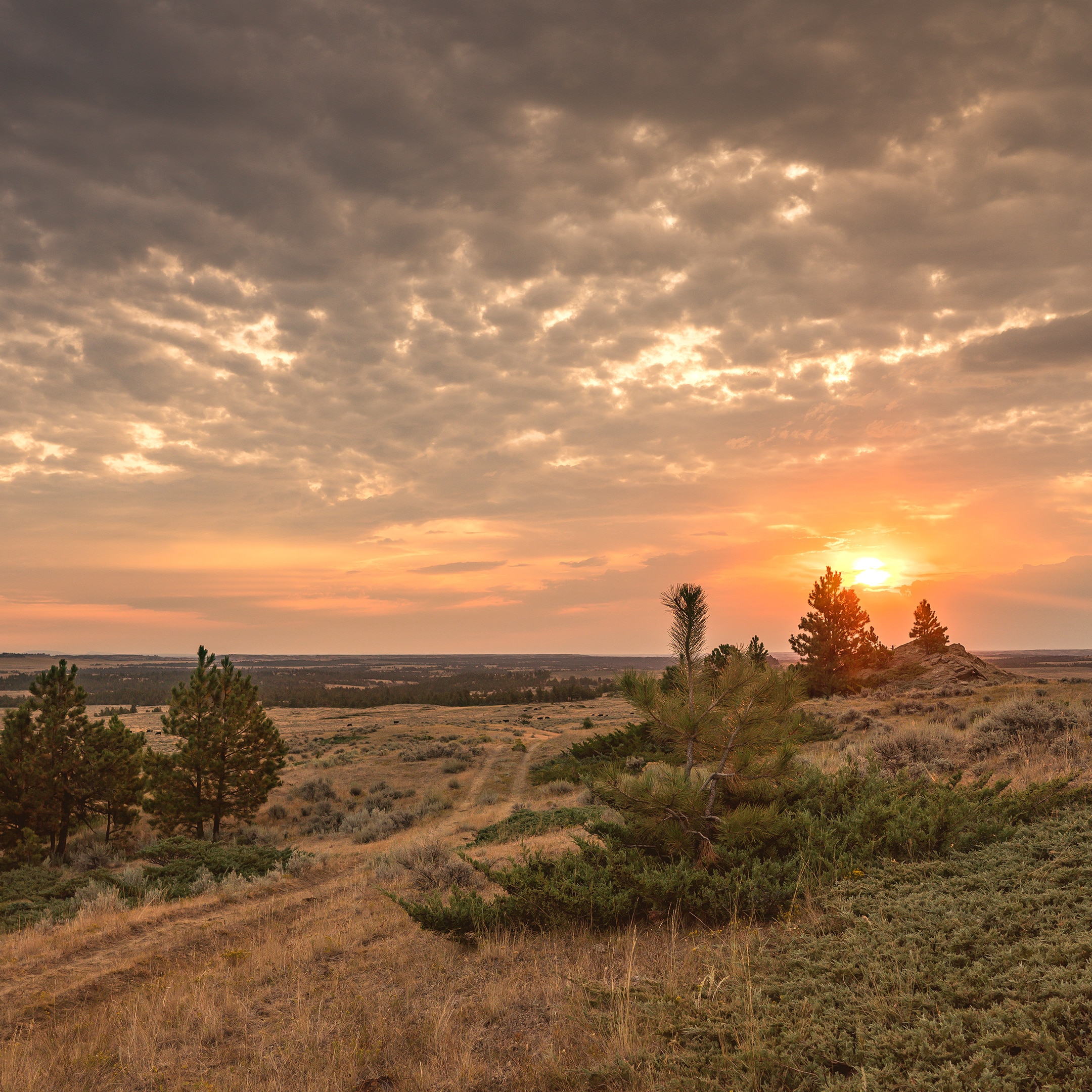 onX Basemaps Explained | onX