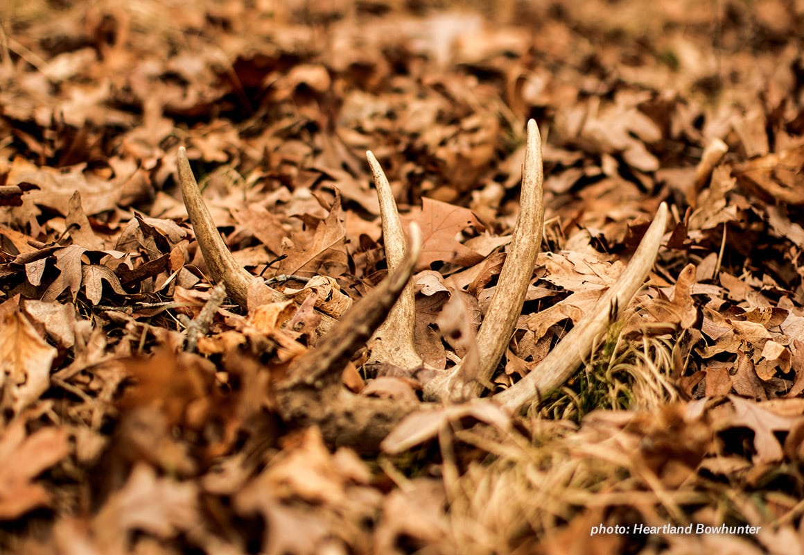 Blog - Product News, Hunt, Tips and Tricks | onX