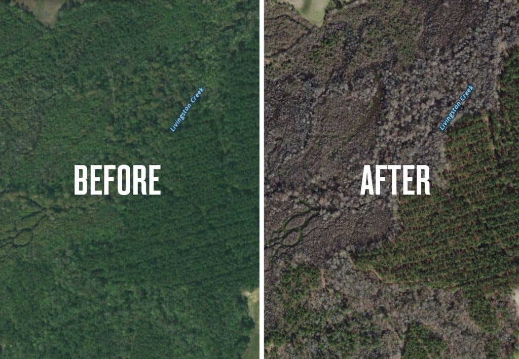 North Carolina Leaf-Off Imagery | onX