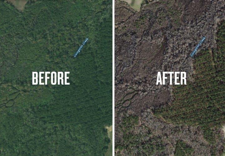 North Carolina Leaf-Off Imagery | onX