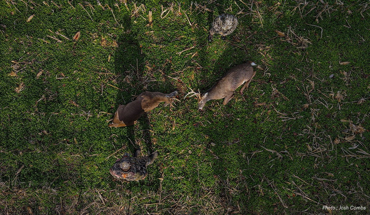 Hunt the Southern Rut | onX Hunt