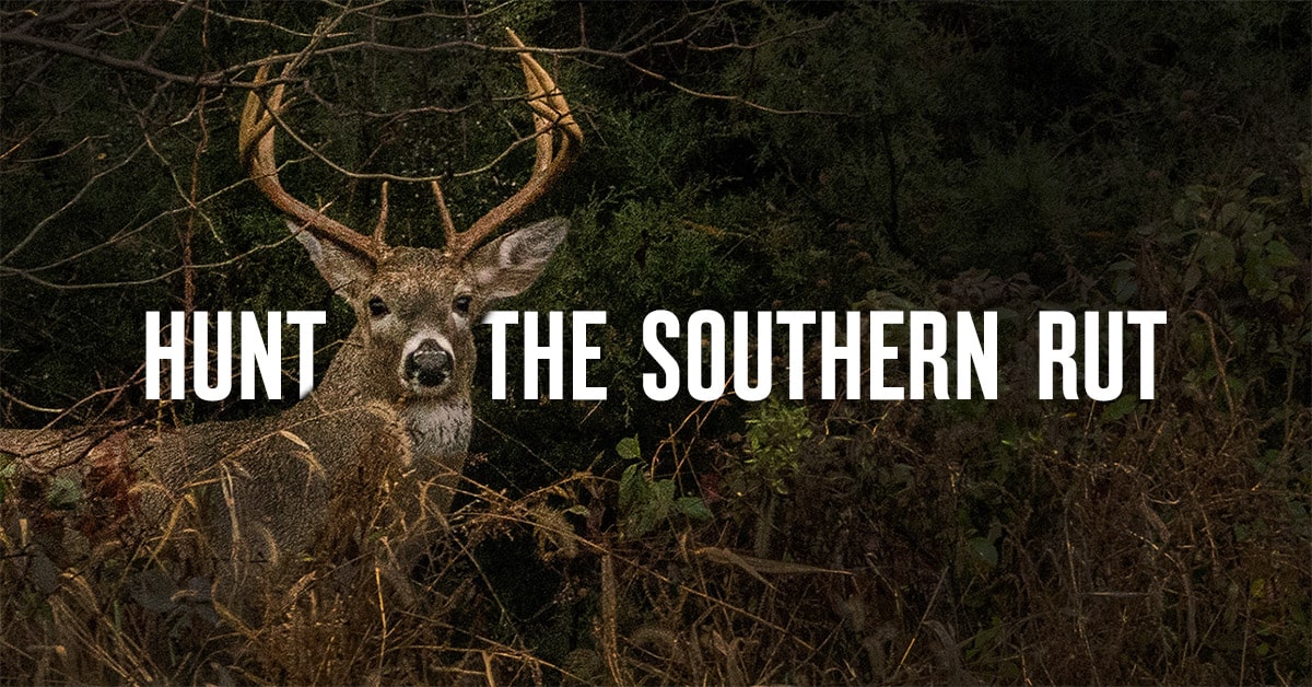 Alabama Deer Rut By County