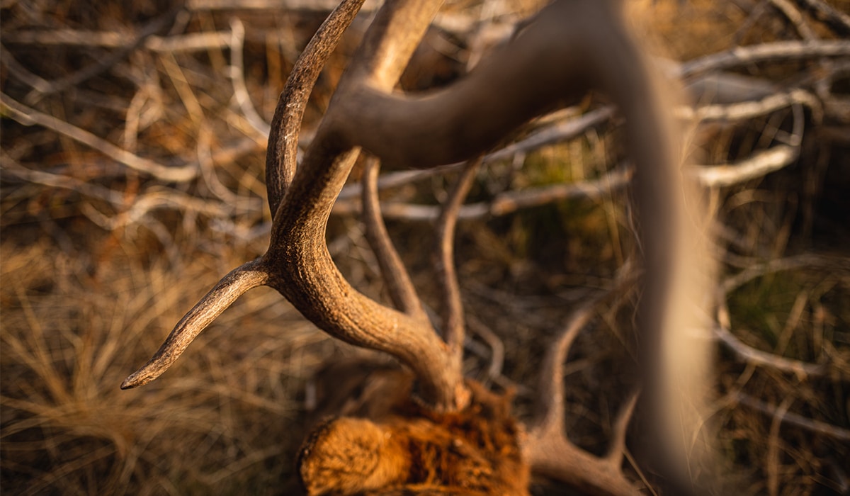 onX Hunt Elite Membership with Public and Private Boundaries