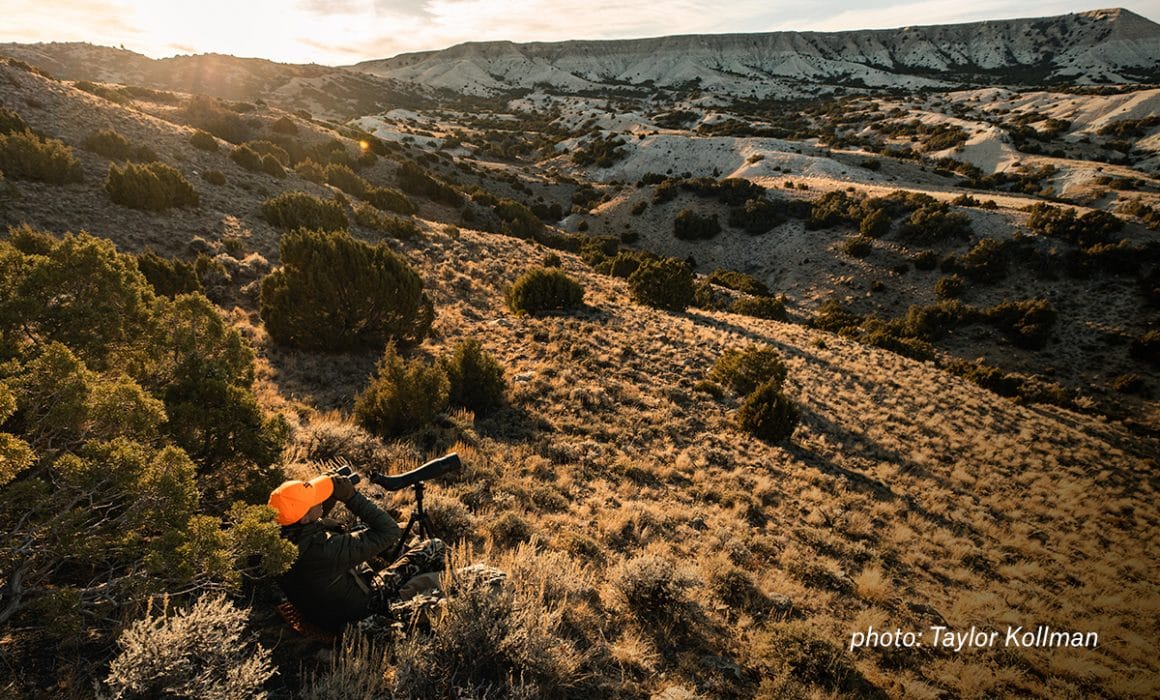 How To Glass for Beginners | onX Hunt