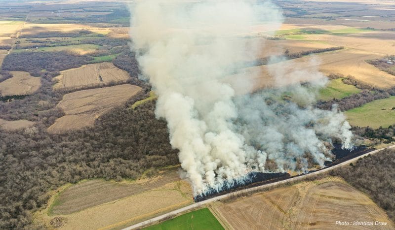 Prescribed Burn: An Easy Land Management Tool for Improved Hunting in ...