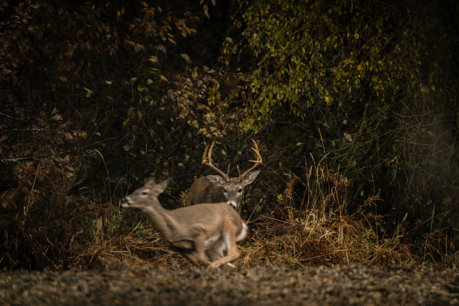 onX Hunt App Tutorials | onX Hunt