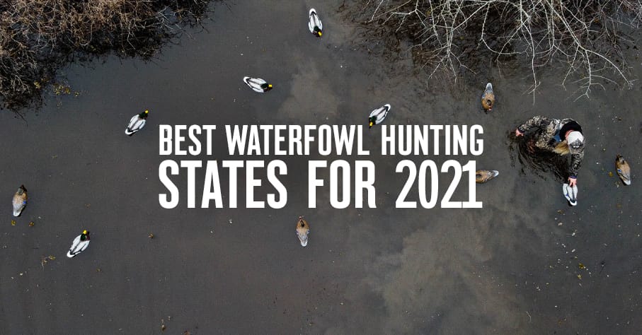 Best Waterfowl Hunting States for 2021 | onX Hunt