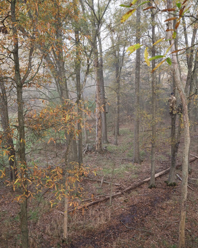 Southern Rut Heat Map | onX Hunt