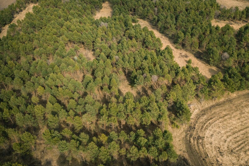 Tree Species Distribution & Habitat Maps for Hunting | onX Hunt