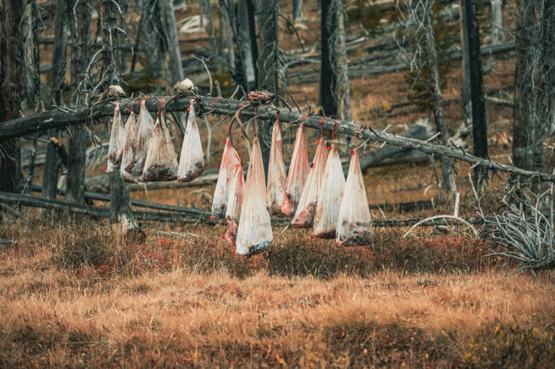 5 Myths of Eating Wild Game vs. Store-Bought Meat | onX Hunt