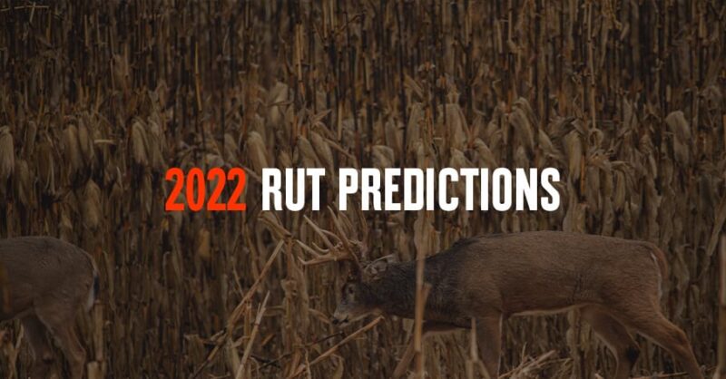 Deer Rut Guide | Rut Report, Predictions & More | onX Hunt