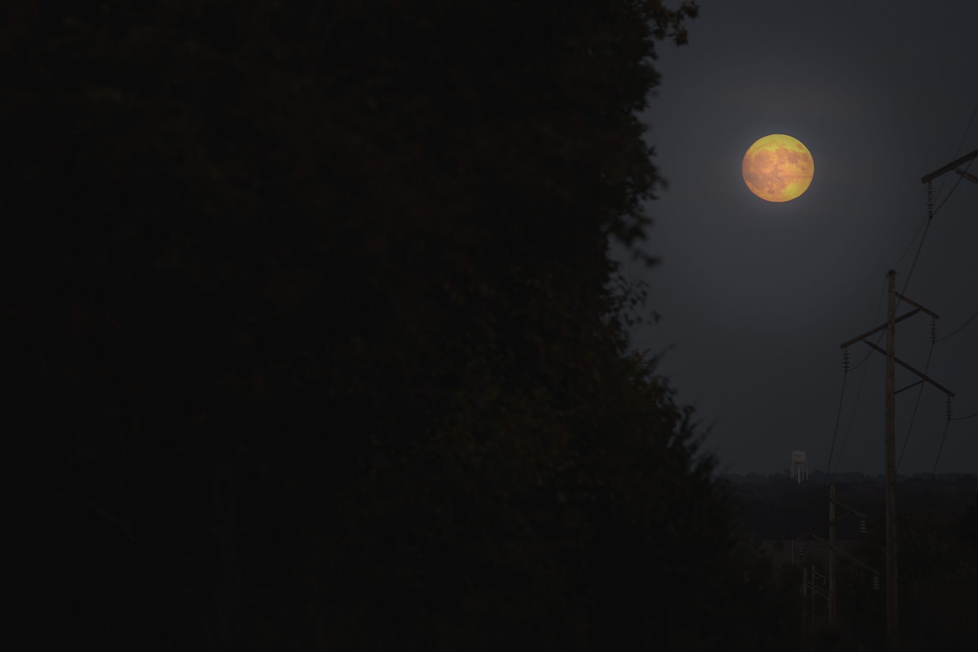 2022 Rut Predictions | onX Hunt