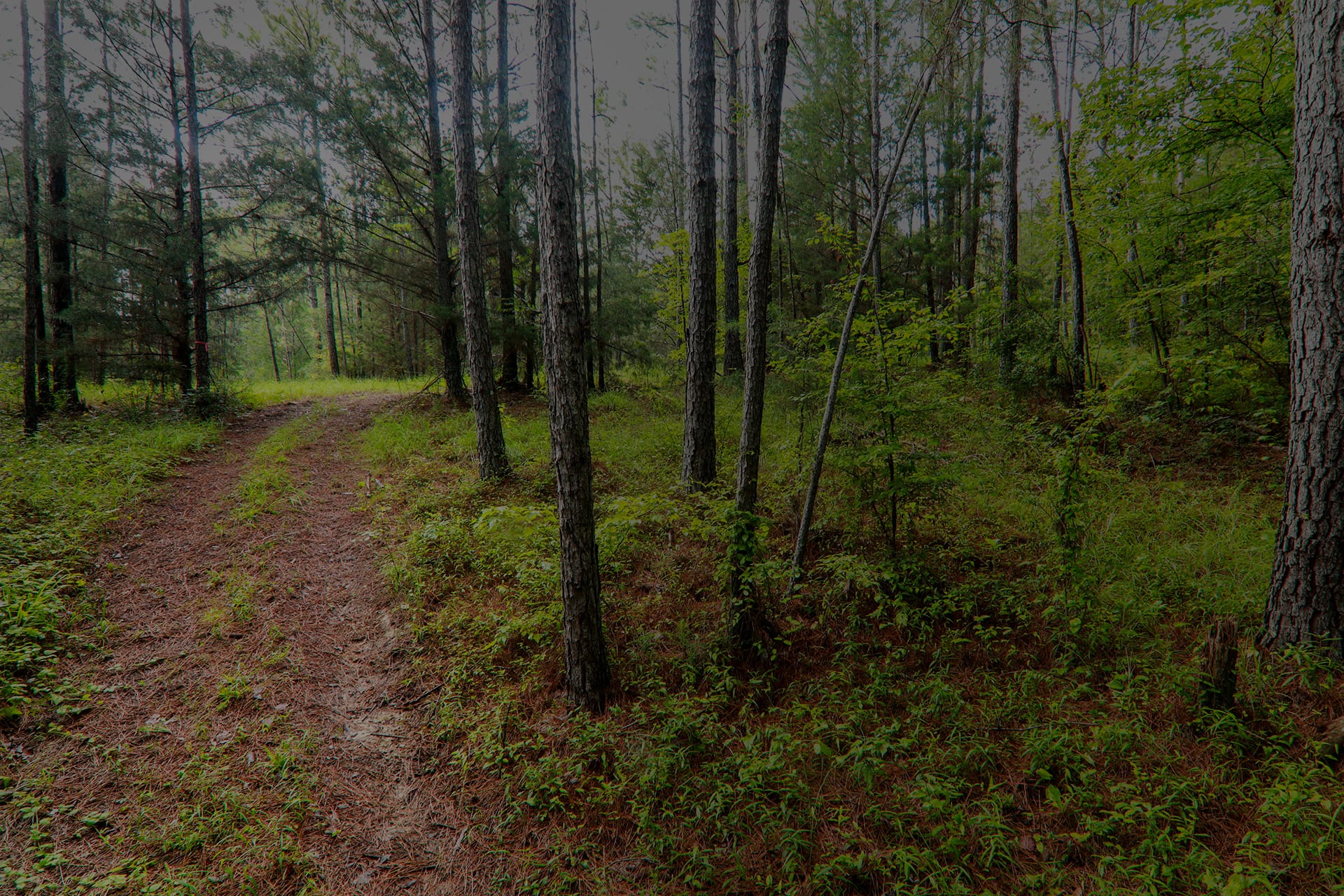 2022 Rut Predictions | onX Hunt