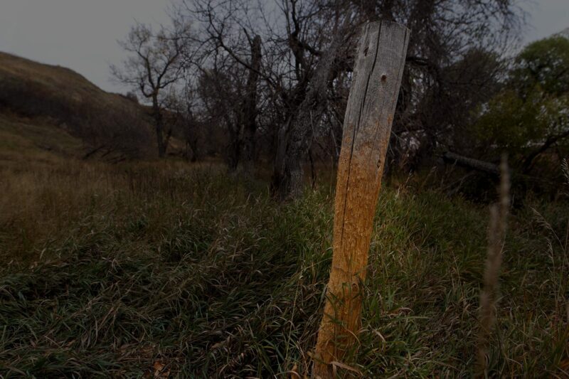 2022 Rut Predictions | onX Hunt