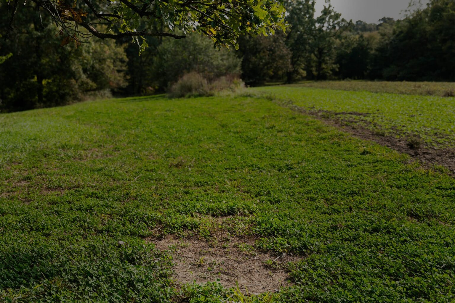 2022 Rut Predictions | onX Hunt