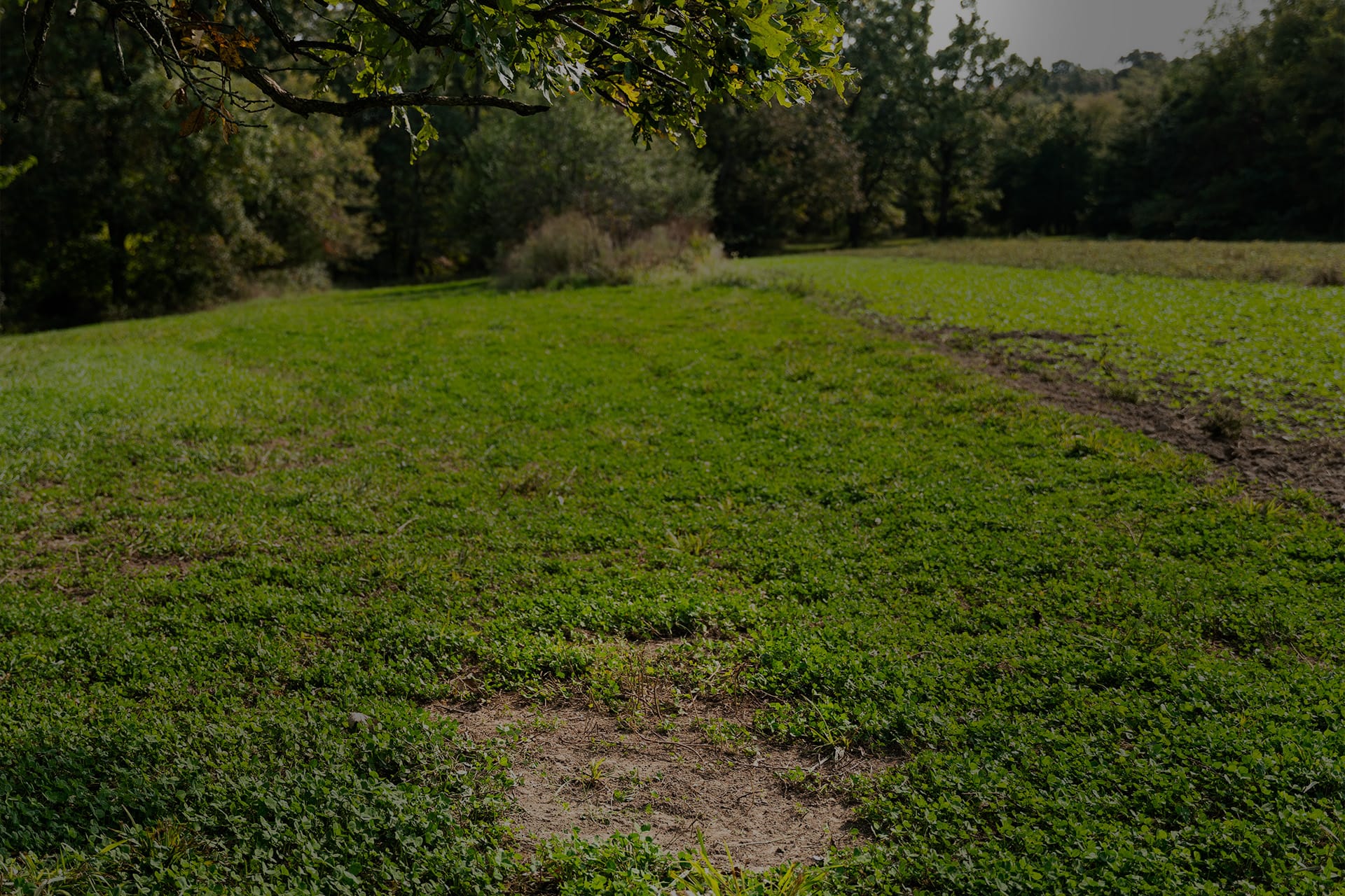 2022 Rut Predictions | onX Hunt