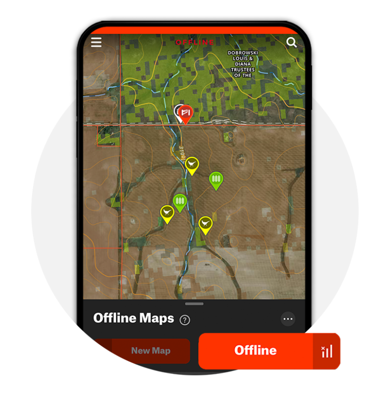 Scouting for Upland Birds - The Definitive Guide | onX Hunt