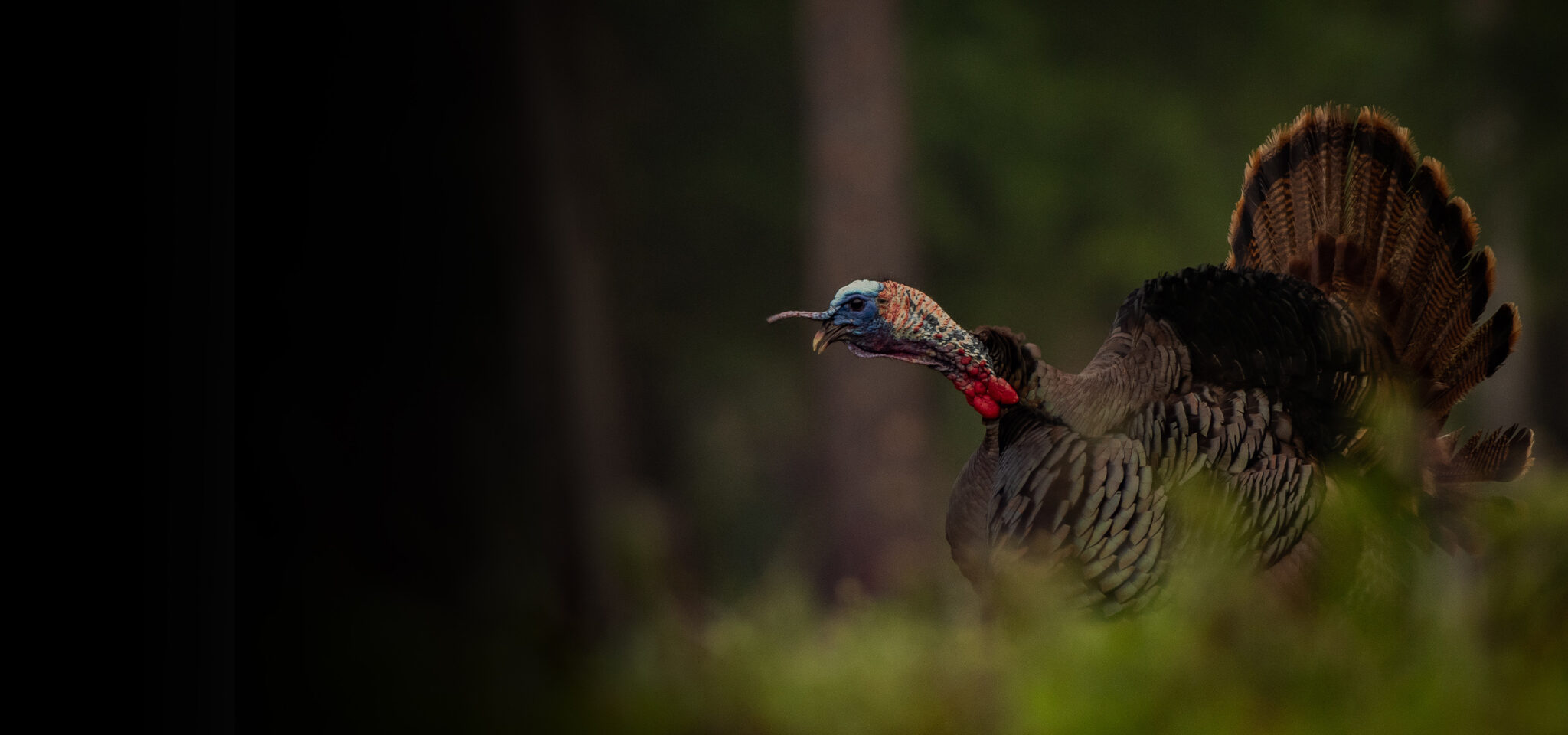 Best Hunting App | GPS, Land Maps, Aerial Imagery & Tracking | onX Hunt