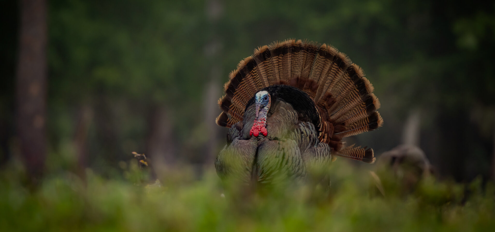 Best Hunting App | GPS, Land Maps, Aerial Imagery & Tracking | onX Hunt