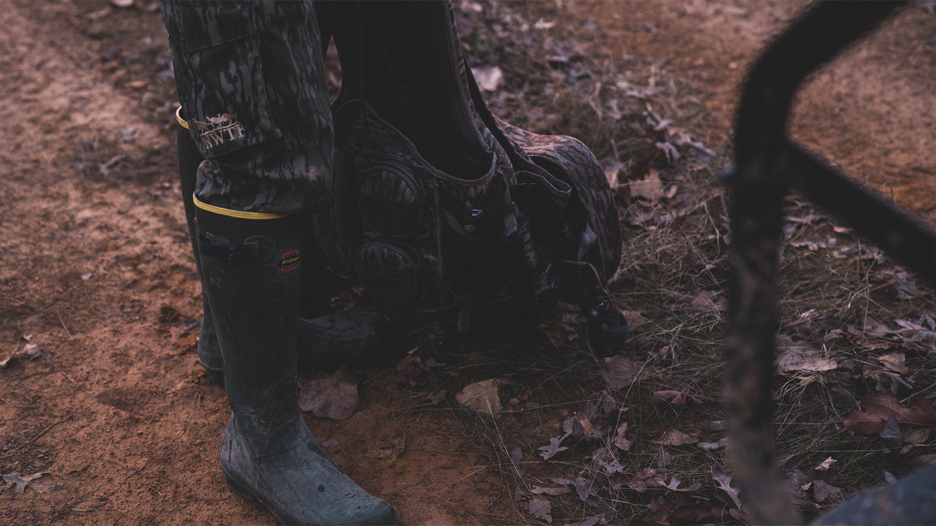 Hunting the Hybrid Wild Turkey