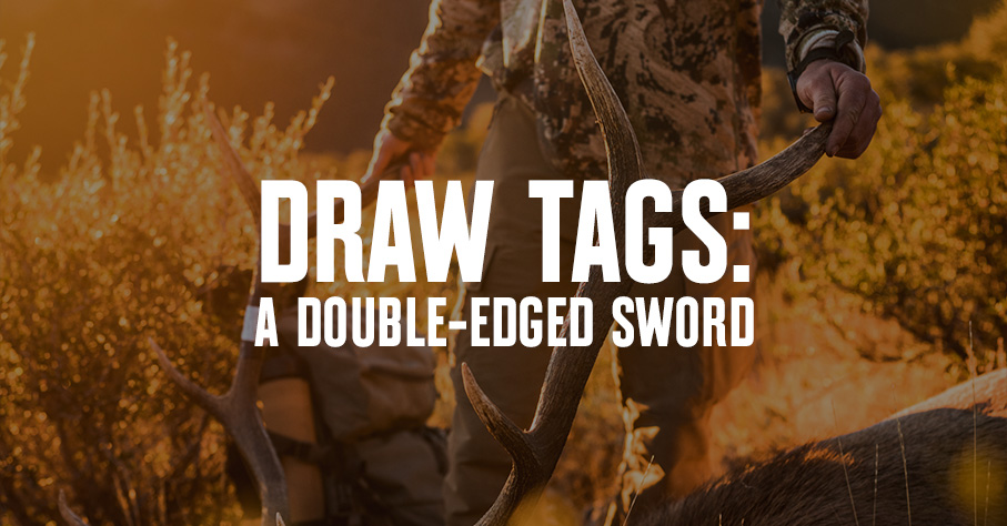 Draw Tags–Tips on the Best Draw Tag Strategy | onX Hunt