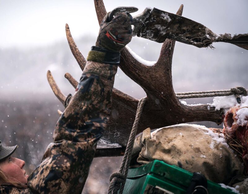 Understanding the Colorado Point System | onX Hunt