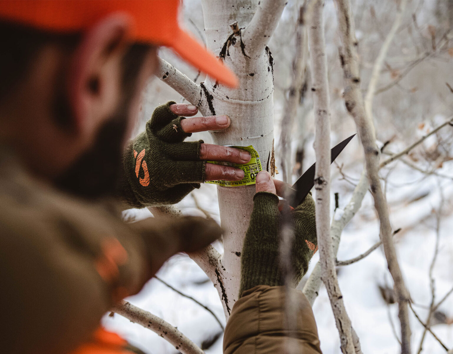 Understanding the Colorado Point System | onX Hunt