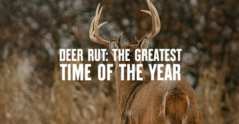 Deer Rut Guide | Rut Report, Predictions & More | onX Hunt