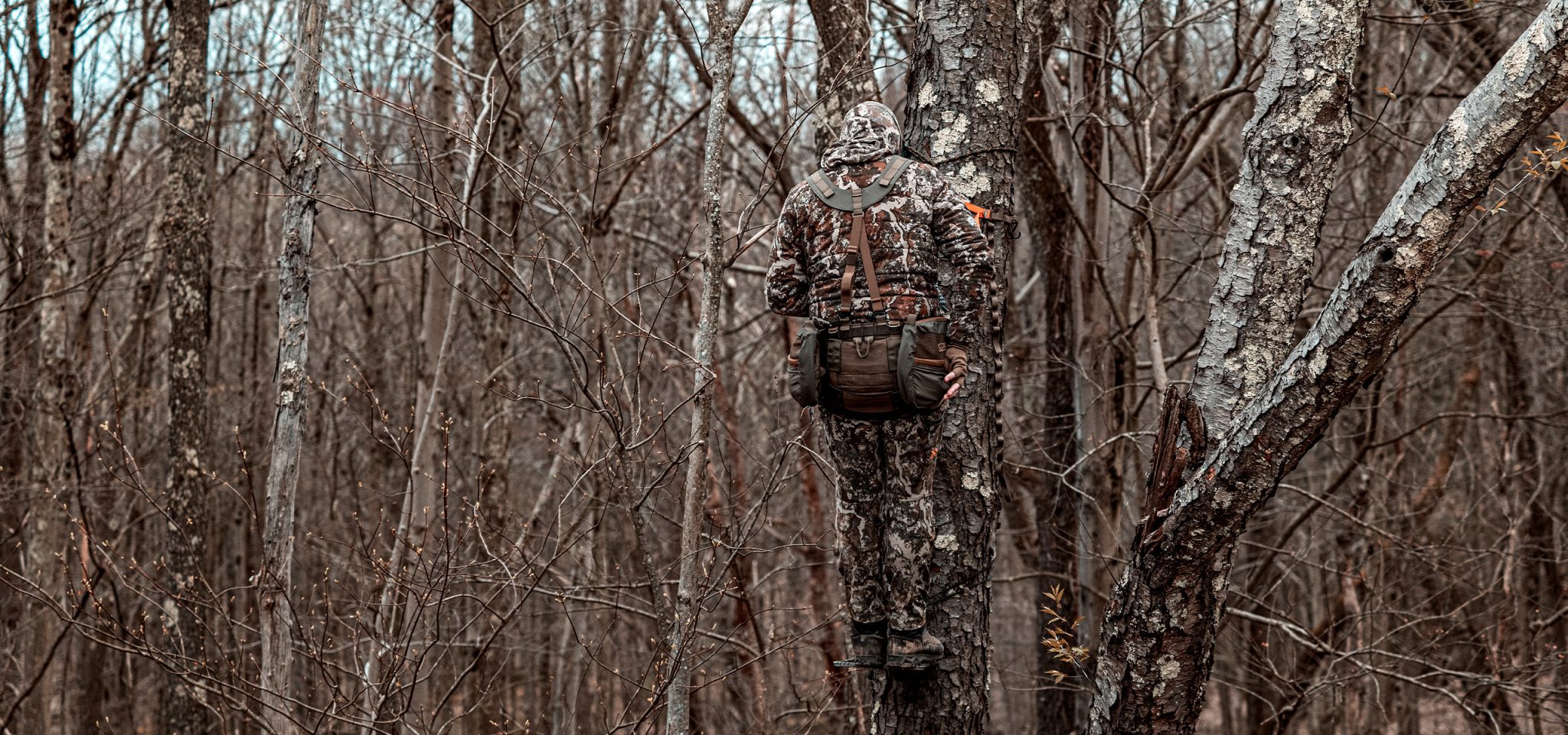 Tethrd | onX Hunt Elite Member Benefit