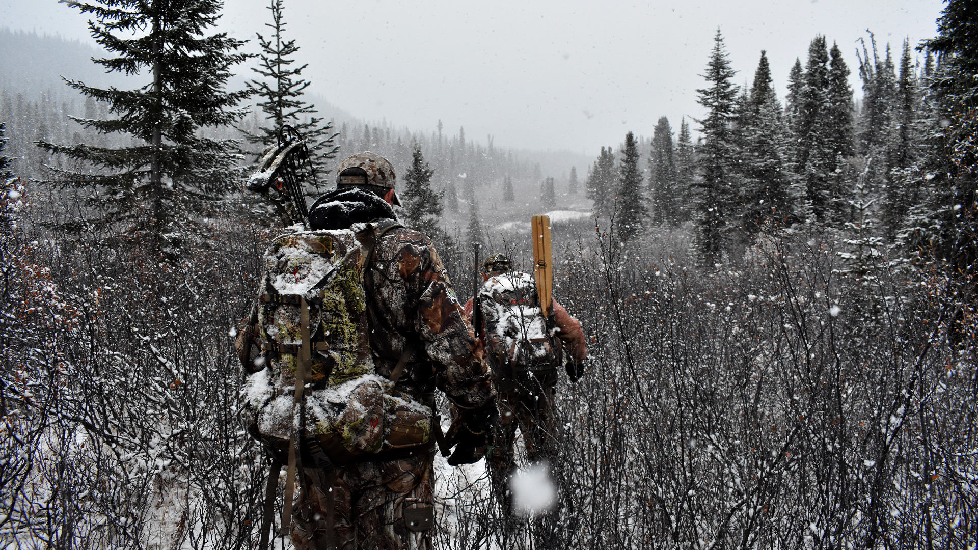 Hunting Moose in Canada and the Tail of Scuba Moose | onX Hunt