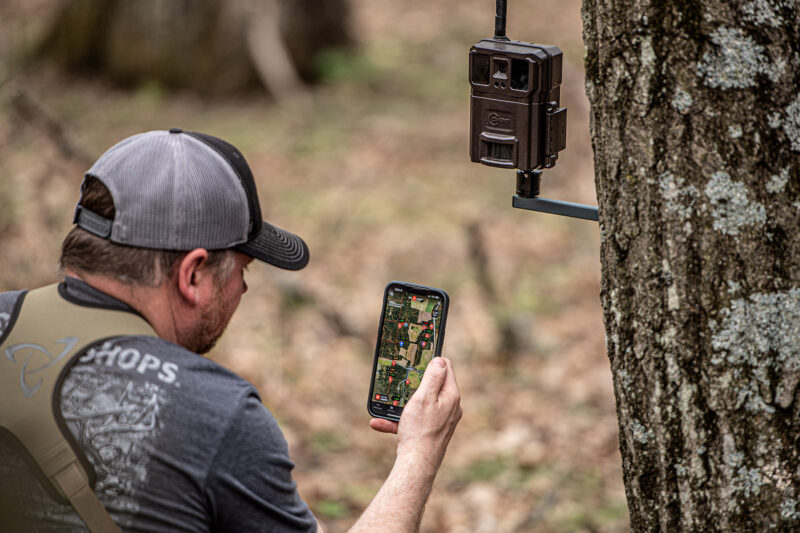 Deer Tracking Tips for a Successful Hunting Season | onX Hunt