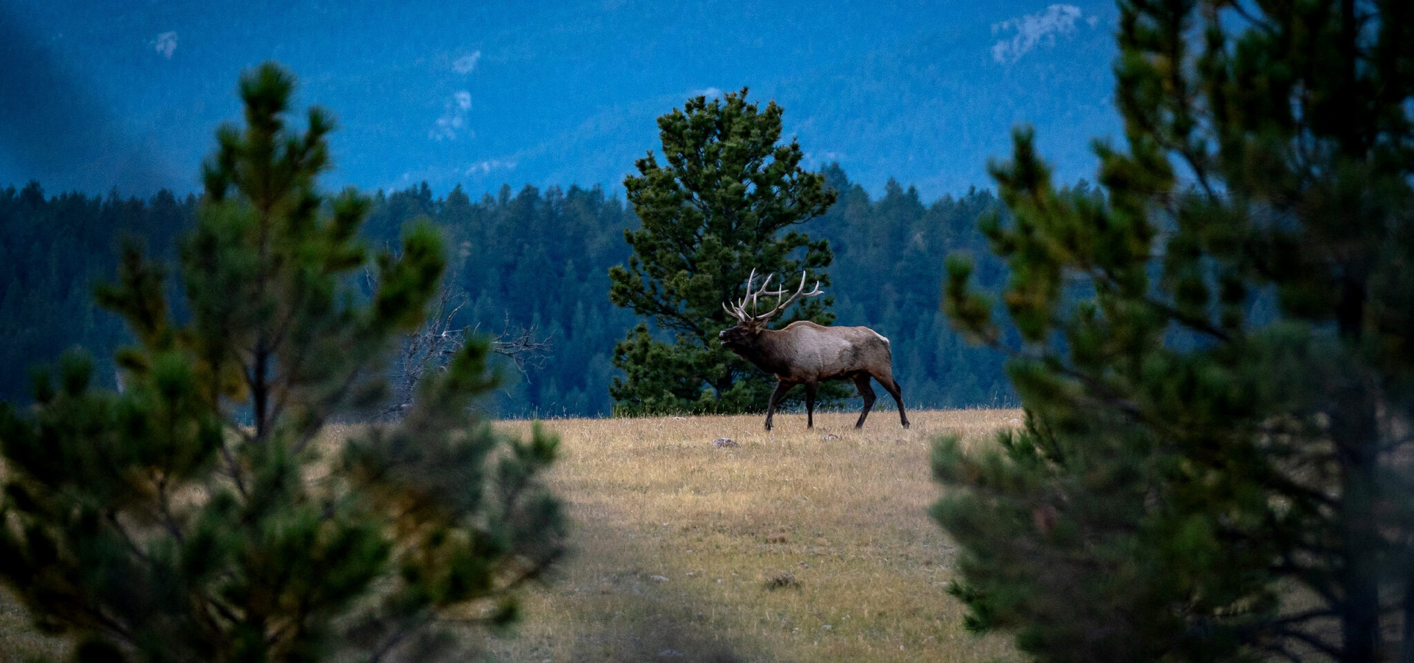 #1 Hunting App Trusted by Millions | GPS, Land Maps & Property Lines