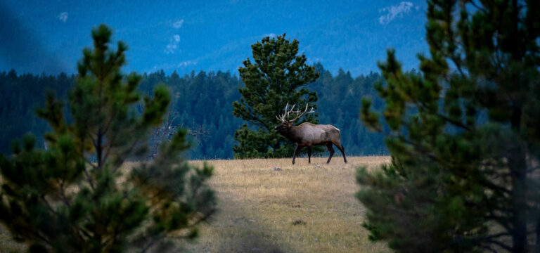 #1 Hunting App Trusted by Millions | GPS, Land Maps & Property Lines