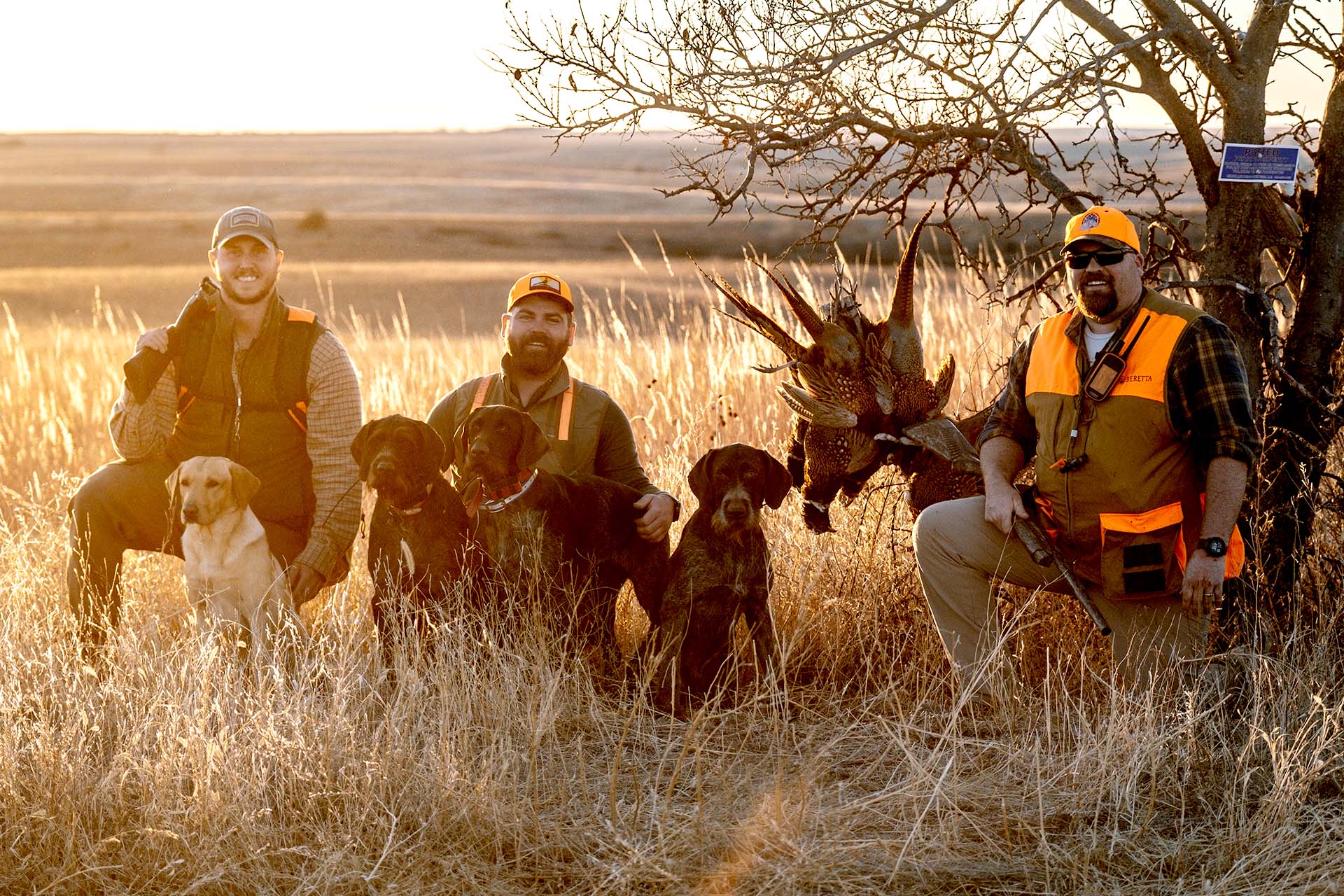 Five Hunting Dogs & One Kid: onX’s Ben Brettingen | onX Hunt