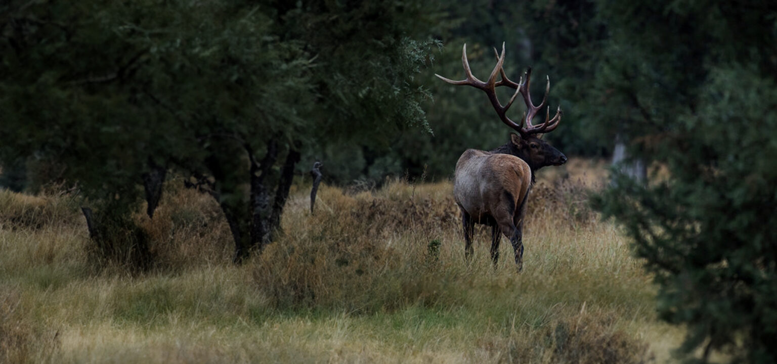 #1 GPS Hunting App | Land Maps, Aerial Imagery & Tracking | onX Hunt