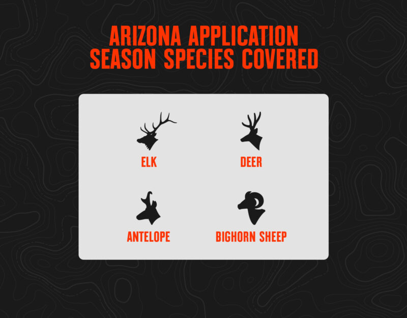Arizona Hunting Application Details for 2026 | onX Hunt