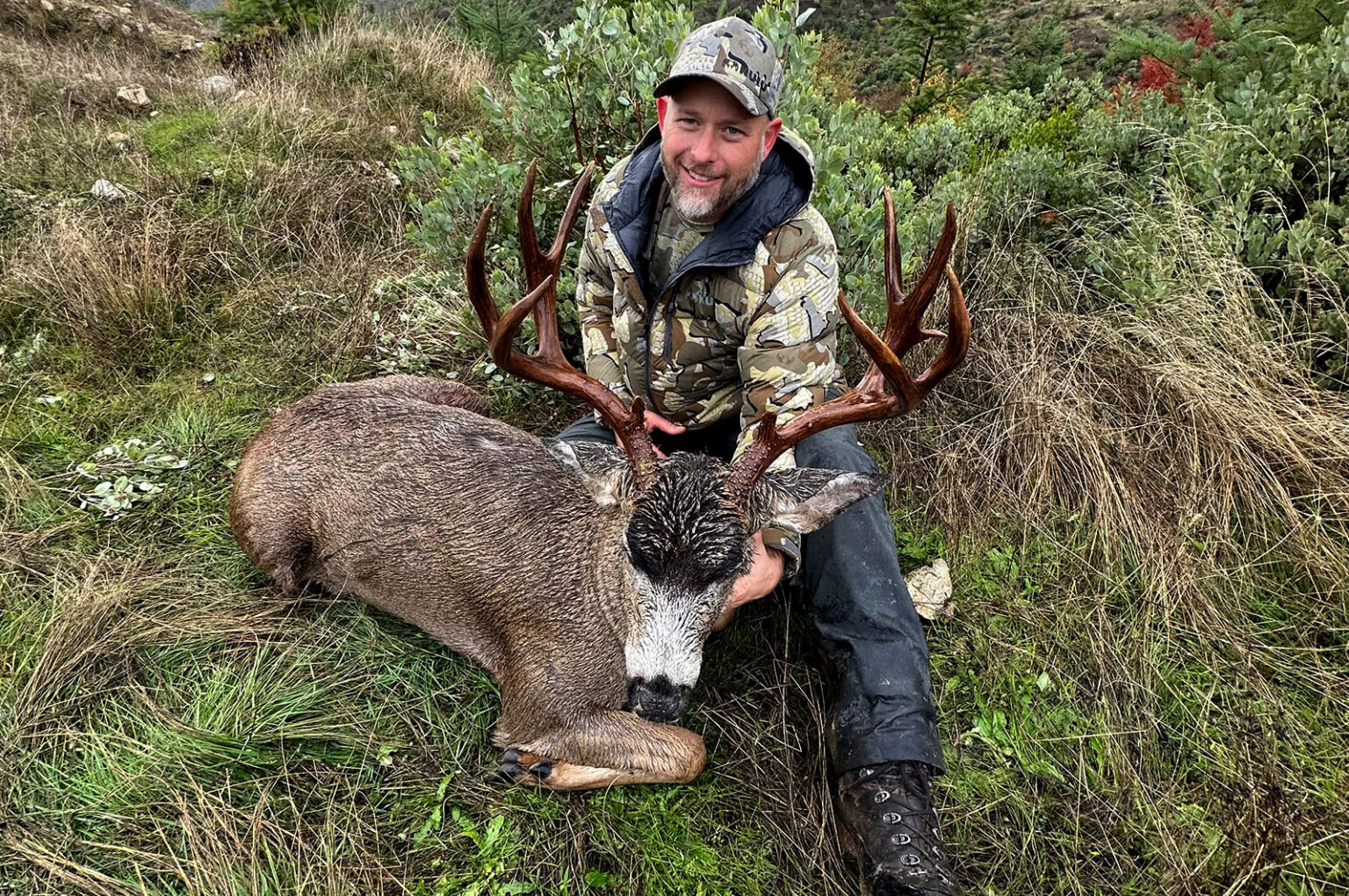 Blacktail Deer | Expert Tips on Best States and Times of Year | onX Hunt