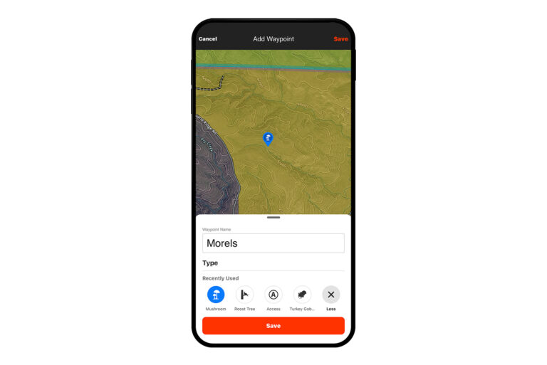 Where to Find Morel Mushrooms on a Map | onX Hunt