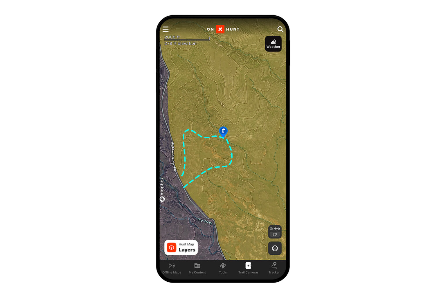 Where to Find Morel Mushrooms on a Map | onX Hunt