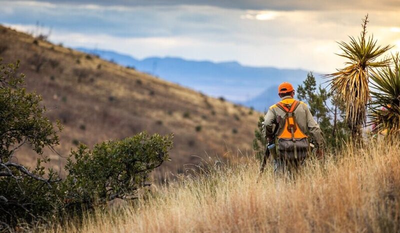Best Upland Bird Hunting States | onX Hunt