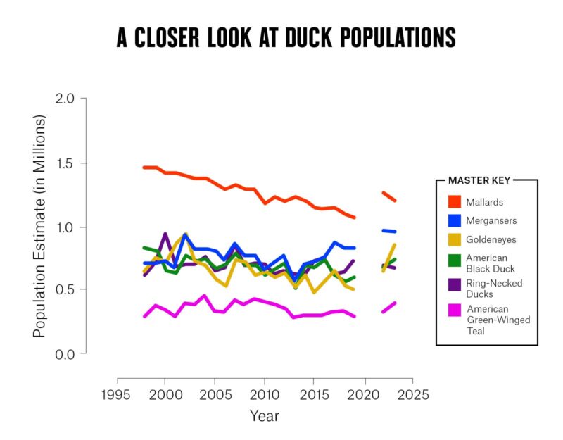 How Hunting Pressure Affects Duck Behavior | onX Hunt
