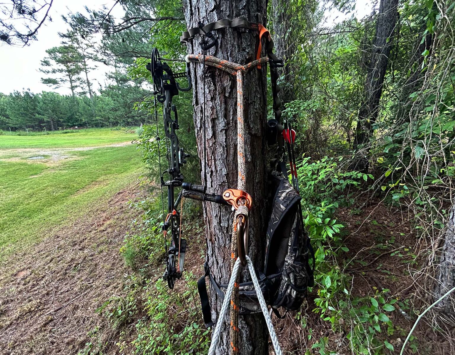 Saddle Hunting 101 | Tips, Gear, & Techniques | onX Hunt