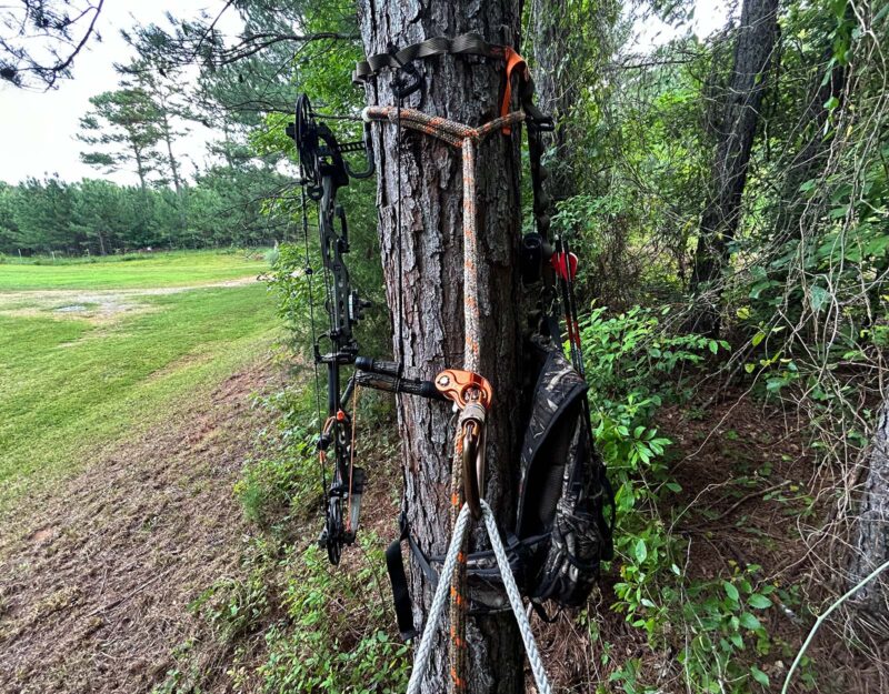 Saddle Hunting 101 | Tips, Gear, & Techniques | onX Hunt