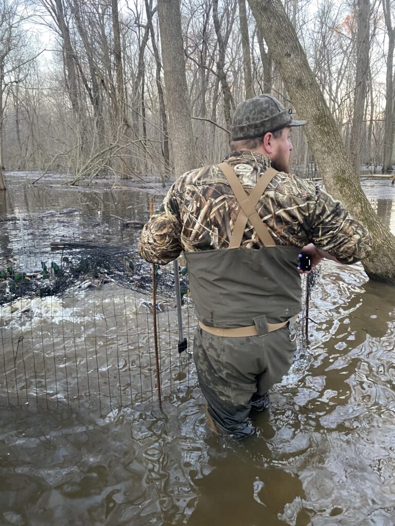 How Hunting Pressure Affects Duck Behavior | onX Hunt